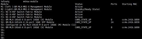 Notes To Remember Add New Module In Brocade Mlxe 8