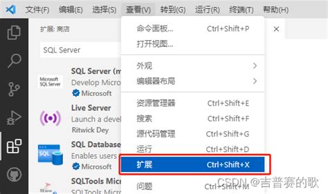 Vs Code 连接sql Servervscode连接sql Server Csdn博客 Vs Code 连接sql Servervscode连接sql Server Csdn博客