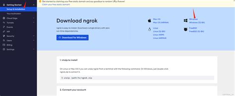 ngrok使用教程 CSDN博客