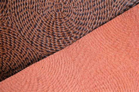 Biomaterial Innovation The Future Of Sustainable Materials