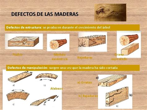 La Madera Qu Es La Madera La Madera