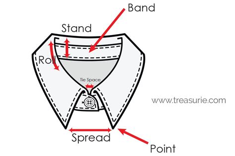 Types Of Collars A To Z Of Collars Treasurie