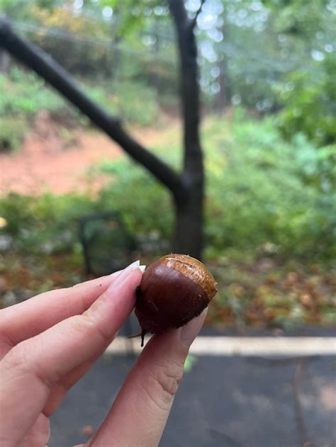 양평 설매재자연휴양림 1박2일 솔직후기 네이버 블로그
