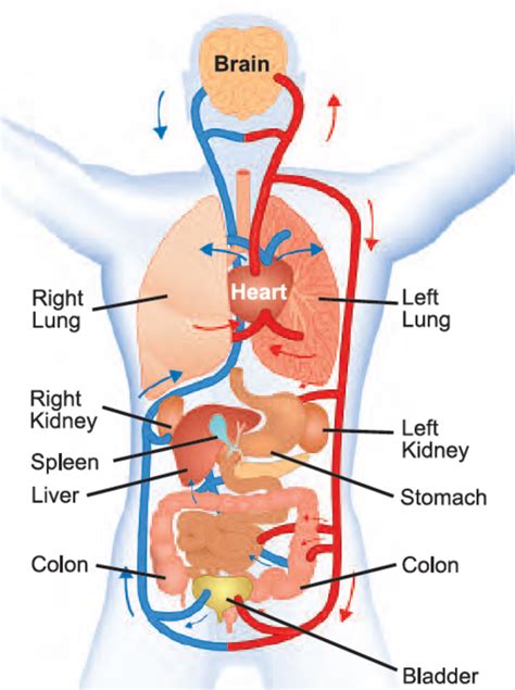 Home Oxygen Therapy Air Liquide Healthcare Australia