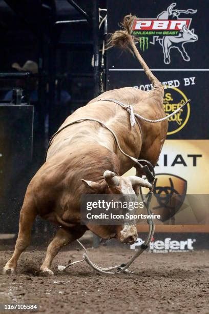 Tornado Bull Photos And Premium High Res Pictures Getty Images