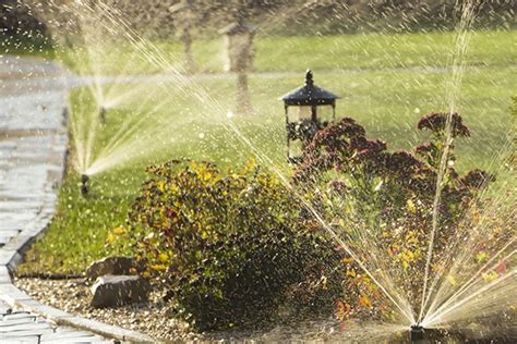 Reticulation Repair Diagnosing Irrigation Lukes Landscaping