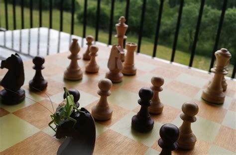 Importing Objects From A Python Module Can Be Risky Towards Data Science