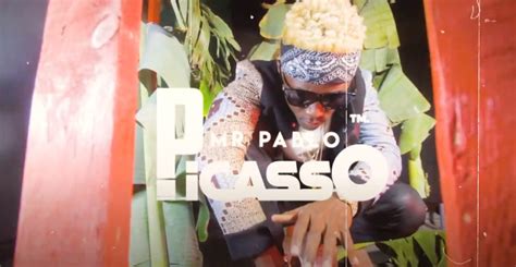 Picasso Rumble In The Jungle Official Video Afrofire