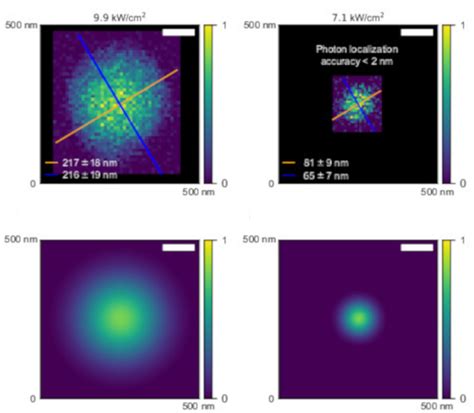 Avalanching Nanoparticles Image Cells In Real Time News Center