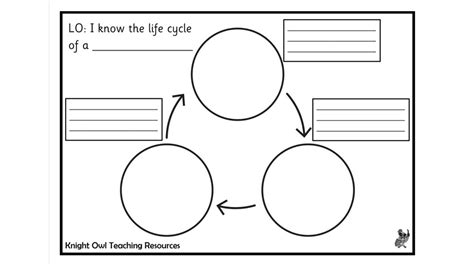 Blank Life Cycle Template