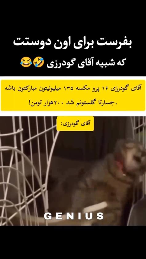 ‎پاساژ ارگ طبقه دوم پلاک ۵۶ تاپ سنتر‎ ‎ریجستری گمرک گمرکایران