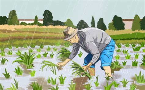 Farmer S