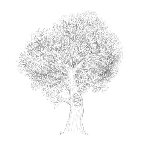How To Draw A Tree