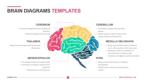 Concept Map Template Easy To Edit Powerslides™ Concept Map Template Easy To Edit Powerslides™