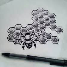 Honeycomb Drawing At Explore Collection Of