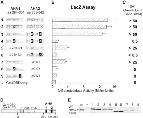 Reporter Assays In The Yeast Strain Yrg2 Download Scientific Diagram