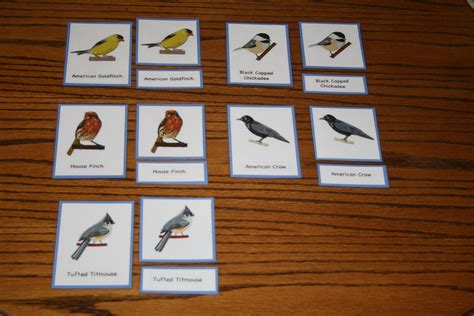 What Are Nomenclature Cards In Montessori At Clinton Richardson Blog