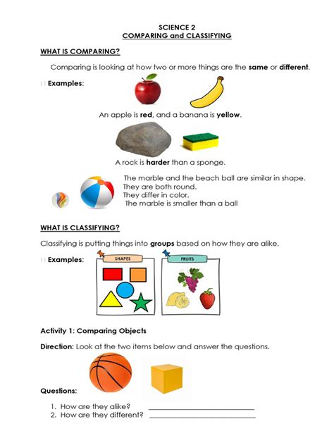 Comparing And Classifying Objects Pdf