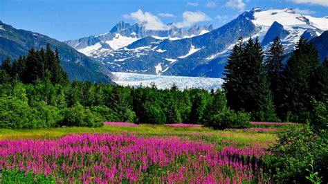 Top Rehab Centers That Accept DenaliCare (AK Medicaid)