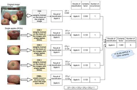 A Vision Based Method Utilizing Deep Convolutional Neural Networks For Fruit Variety
