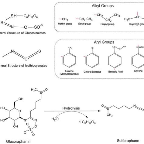 A Glucosinolates And Isothiocyanates General Structures The Radical