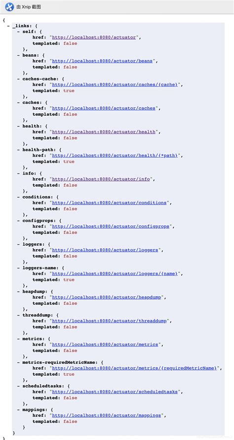使用actuator监控spring boot项目的运行状态 csdn博客