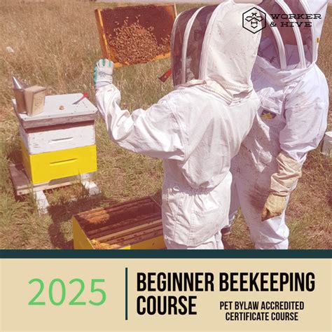 Beginner Beekeeping Course Worker And Hive Bee Supply