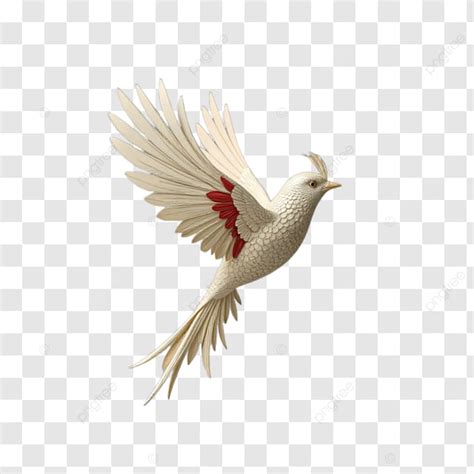 생명과 같은 흰 새 산으로 둘러싸인 파리 깃털 Png 일러스트 및 Psd 이미지 무료 다운로드 Pngtree
