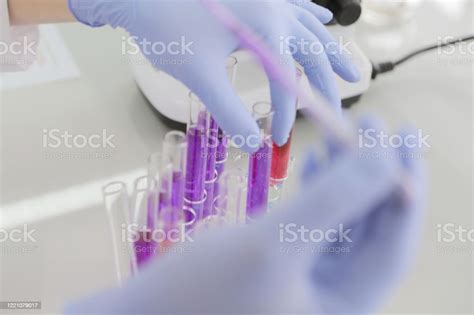 임상 실험실에서 시험관 및 현미경 테스트 또는 연구와 실험실에서 일하는 젊은 여성 실험실 과학자 과학 화학 생물학 의학 및 사람 개념 Dna에 대한 스톡 사진 및 기타