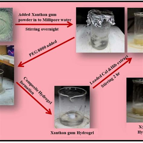 Physical Characterization Of Xanthan Gum Hydrogel Patch A Xrd Of X Download Scientific