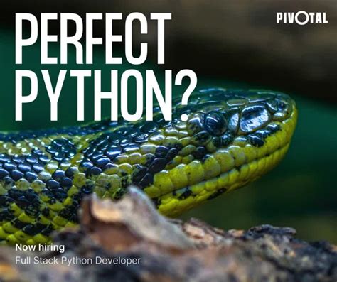pivotal future on linkedin python techforgood data biodiversity