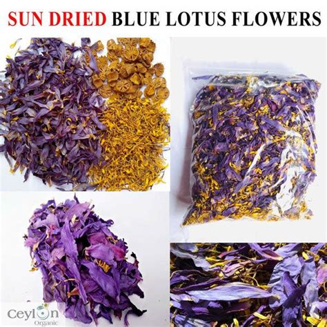 Blue Lotus Calming And Relaxing Herbal Tea With Blue Lotus Flowers