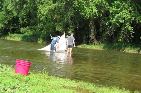 Environmental Consulting Wetland Permitting Wetland Delineation Macroinvertebrate Taxonomy