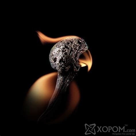 Шатаж байгаа чүдэнзнээс үүссэн гайхамшигтай дүрслэлүүд [23 зураг]