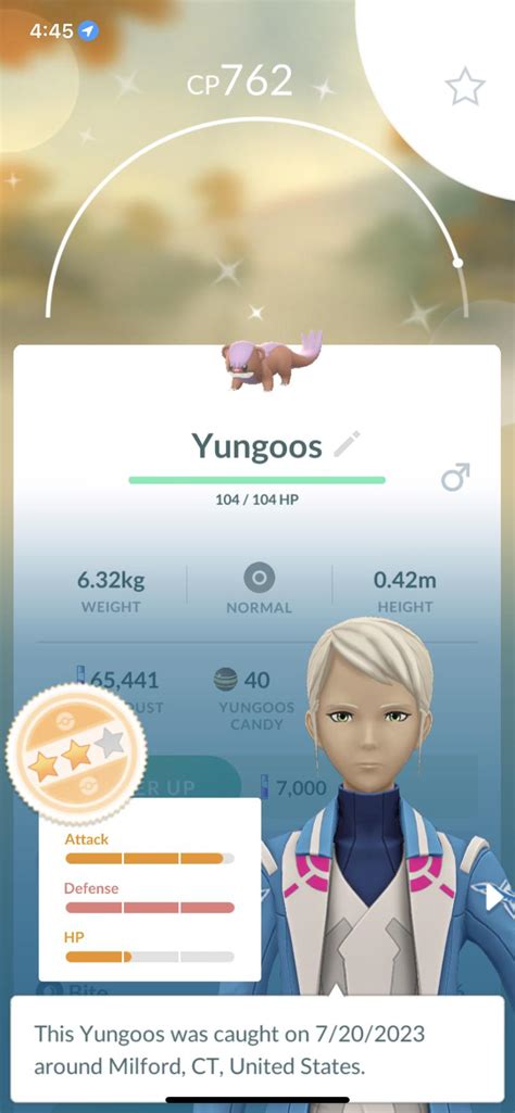 [go] Shiny Yungoos R Shinypokemon