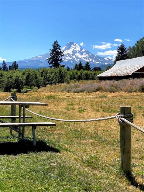 5 Things To Know About The Hood River Fruit Loop Together Anywhere