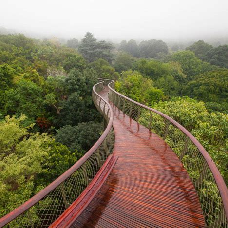 Treetop Walkways Dezeen