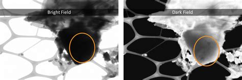 Scanning Transmission Electron Microscopy Nanoscience Instruments