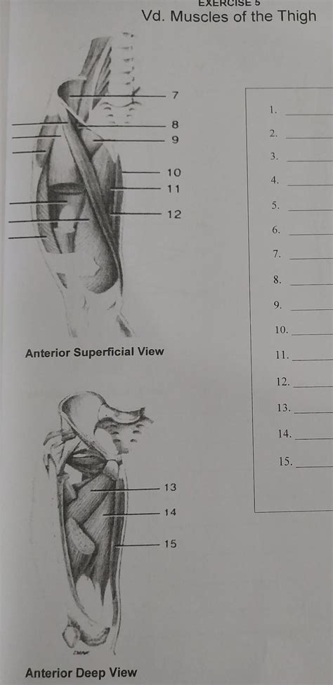 Solved Exercise 5 1 2 3 4 5 6 7 8 9 10 11exercise