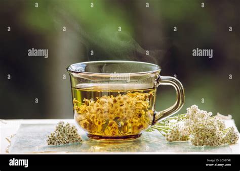 Yarrow Herb Tea