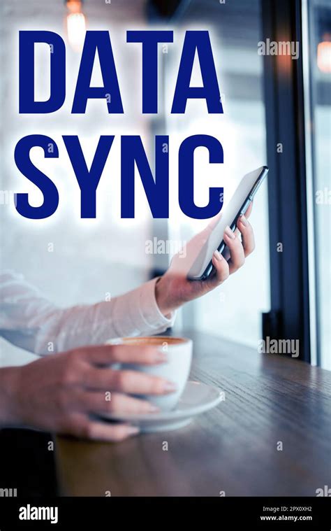 Conceptual Display Data Sync Business Overview Data That Is
