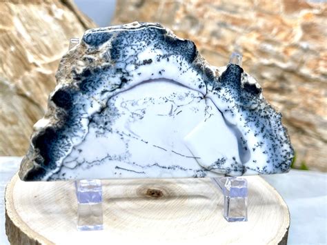 345 Carat Dendritic Opal Agate Slice With Stand Polished Gemstone