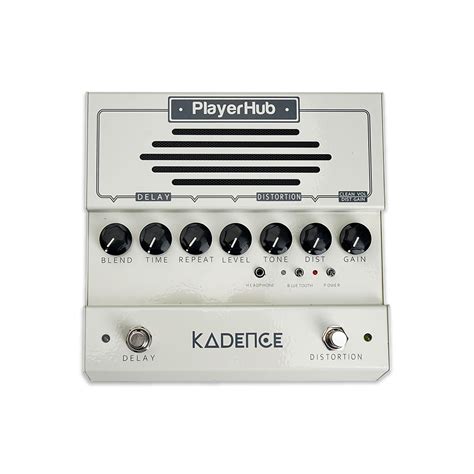 Player Hub With Built In Pedal Portable Speakers