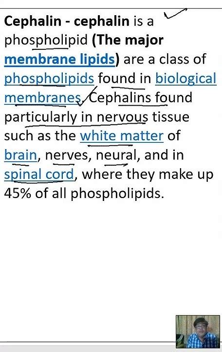 Cephalin Cephalin Is A Phospholipid Are A Class Of Phospholipids Found In Biological Membranes