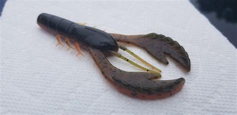 Bama Craw Rlurebuilding