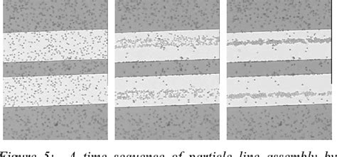 Figure 1 From High Sensitivity Particle Detection By Biased Ac Electroosmotic Trapping On