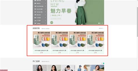 Vuejs 2 项目实战（七）：小兔鲜首页vue2开发小兔仙10 Csdn博客