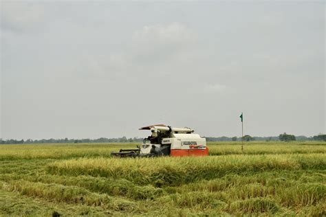 Myanmarnationalpost ပဲခူးတိုင်းဒေသကြီး ဝန်ကြီးချုပ် ဦးမျိုးဆွေဝင်း