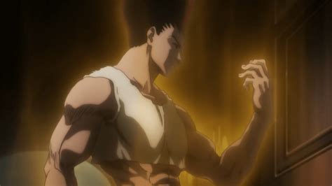 Adult Gon Wallpapers Wallpaper Cave