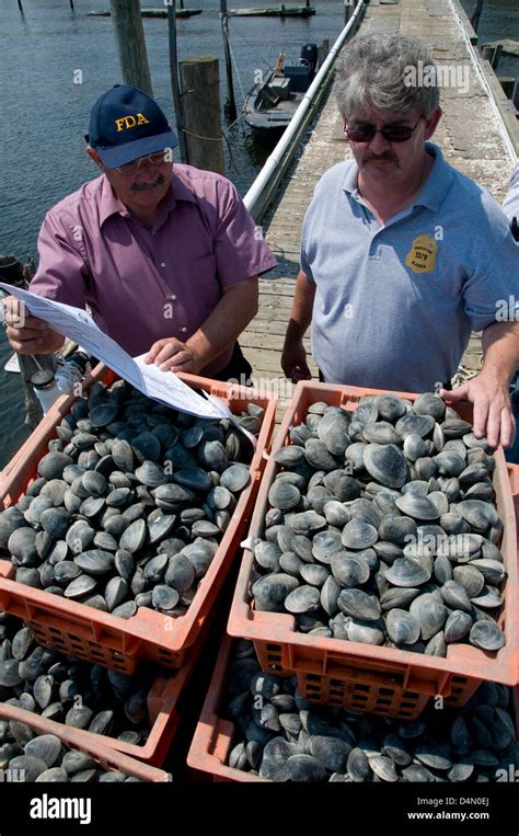 The National Shellfish Sanitation Program Nssp And The Fda Have